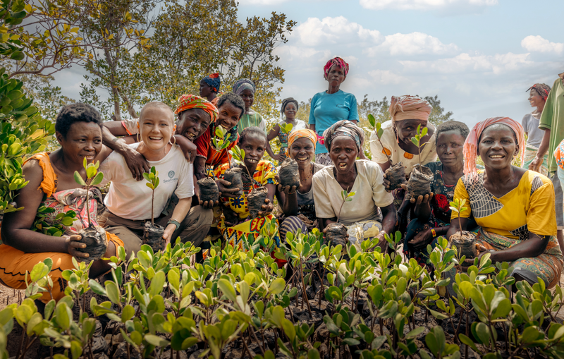 OCEANR and SeaTrees Partner for Mangrove Conservation - OCEANR